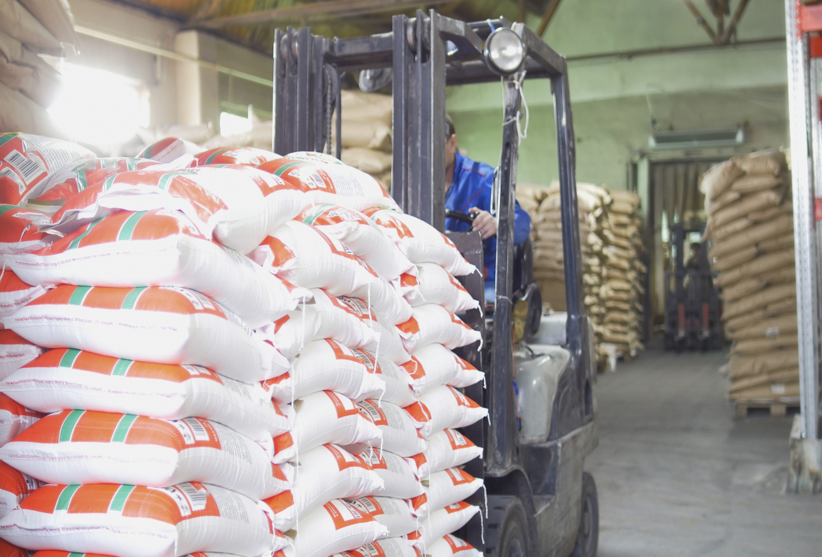 MTC GmbH – International Trade Company